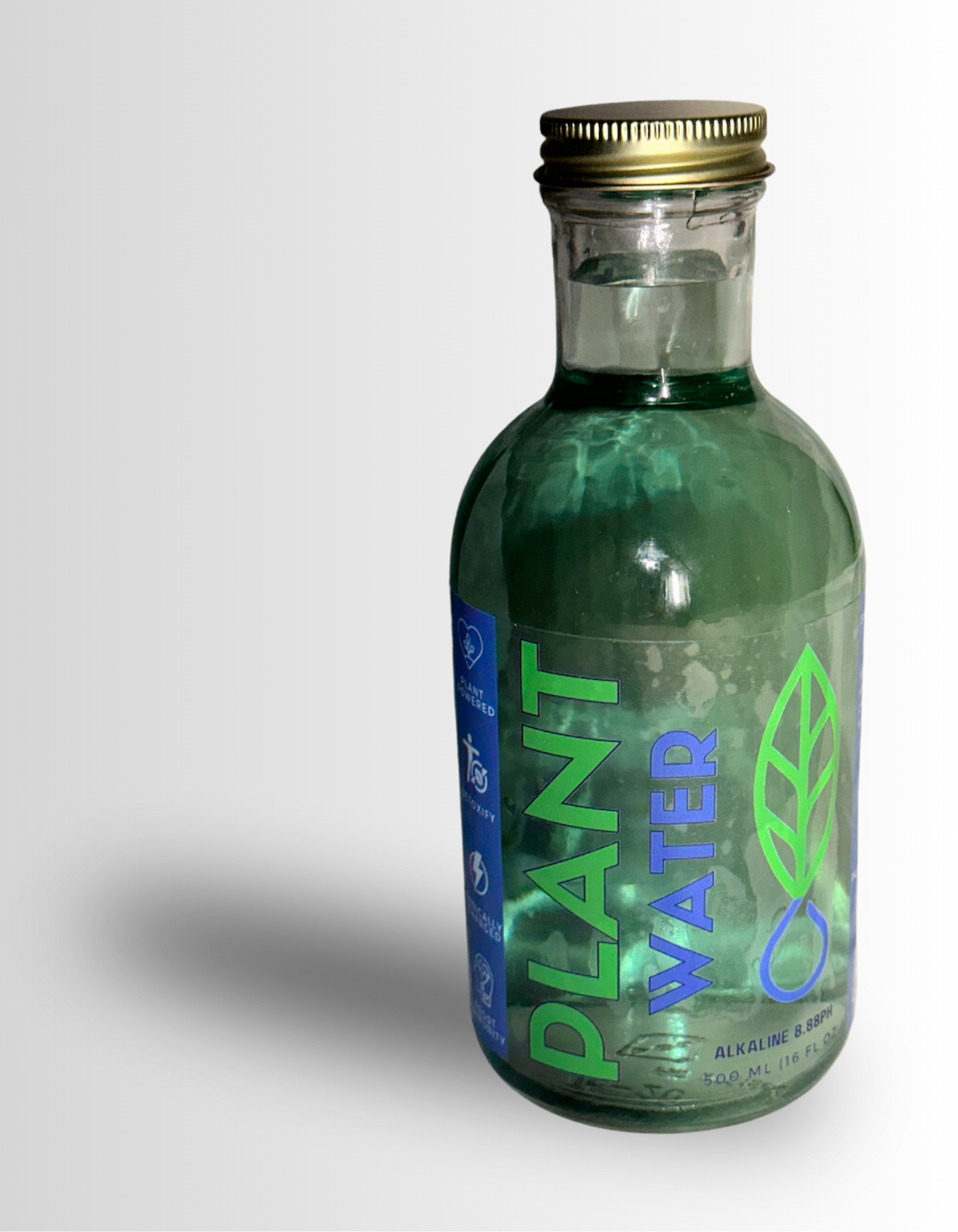 PLANT WATER – Plant Water